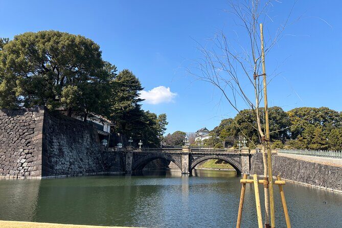 Imperial Palace and East Gardens Private Walking Tour in Tokyo - The Experience of a Private Guided Tour