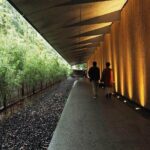 Imperial Palace, Meiji Shrine, & Aoyama Tour - Authentic Experiences & Participant Feedback