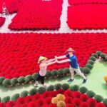 Incense Village Small Group Of 9 Tour to Ninh Binh From Hanoi - In-Depth Review of the Tour Experience