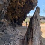 Indian Inscriptions Tour with Local Guide - The Itinerary: What to Expect