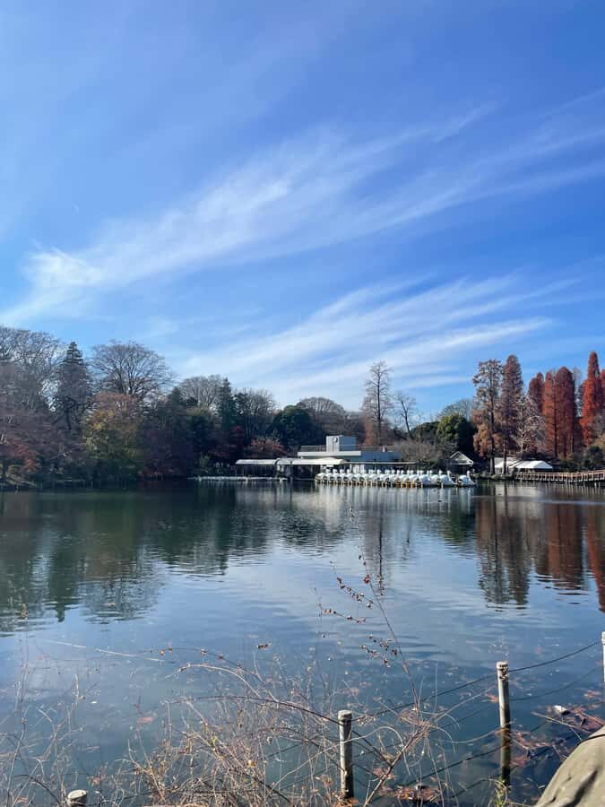 Inokashira Park: Guided Nature & Hidden Gems Walk - Why This Tour Offers Great Value