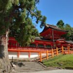 Intercity Transfer Kyoto to Osaka with Nara Sightseeing by Car - The Itinerary in Detail