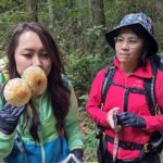 Intro to Seattle Mushroom Foraging - Included and Not Included