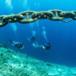 Introduction Shore Dive with Scubaçao (1 dive) - Who Is This Tour Best For?