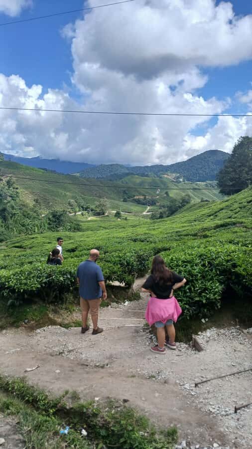 Ipoh: Cameron Highlands Private Day Trip with Driver - Authenticity and Practical Value