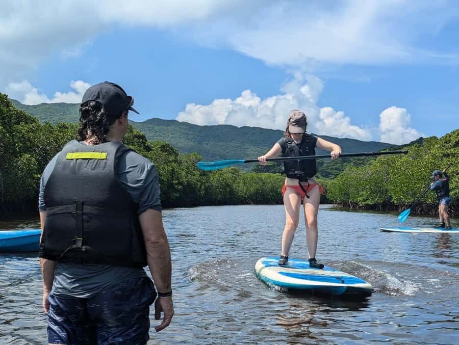 Iriomote island: Mangrove River SUP or Canoe Cruising Tour - The Itinerary in Detail