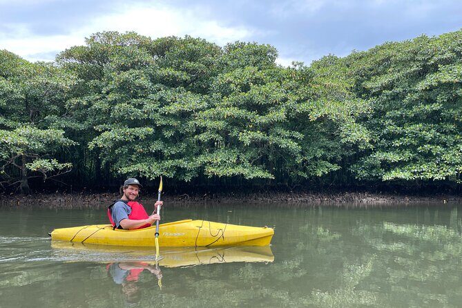 Iriomotes Adventure: Pinaisara Falls Canoe and Trekking Tour - The Itinerary in Detail