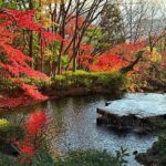 Isamu Noguchi Museum and Japanese Sweets Workshop by Car - Practical Details: Transport, Pricing, and More