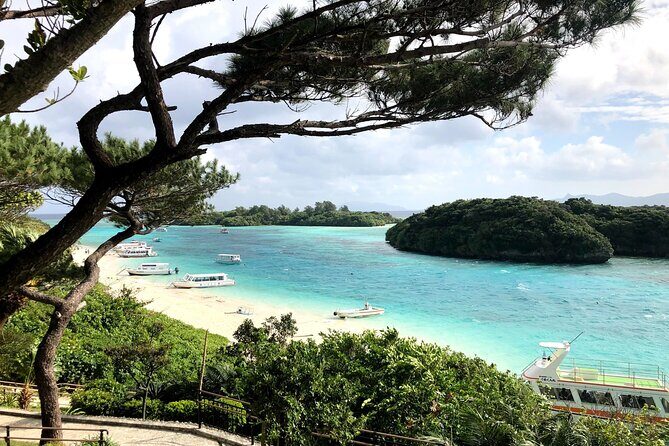 Ishigaki Island Highlights Tour - What’s Included and What to Budget For