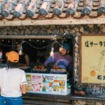 Ishigaki Island Private Photo Tour by English Native Speaker - A Close Look at the Itinerary