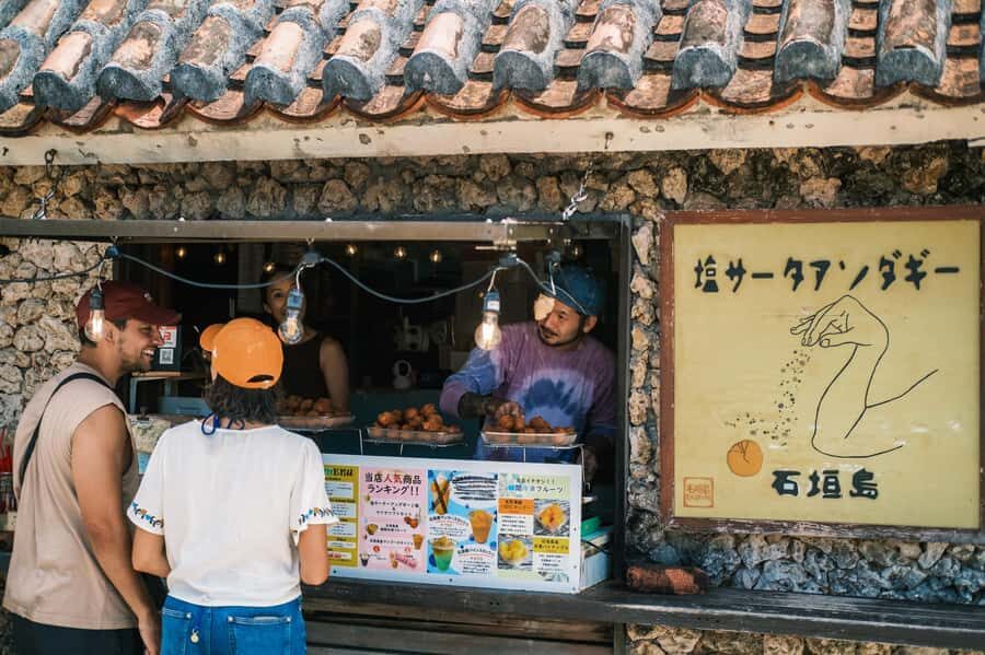 Ishigaki Island Private Photo Tour by English Native Speaker - A Close Look at the Itinerary