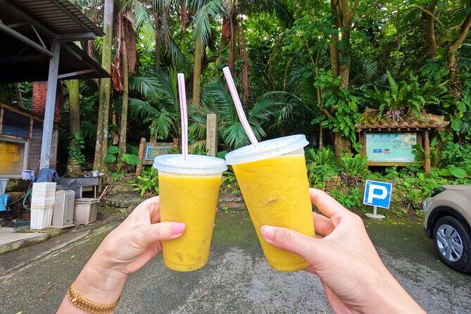 Ishigaki Island Private Tour with Local guide in English - The Experience: Pros and Cons