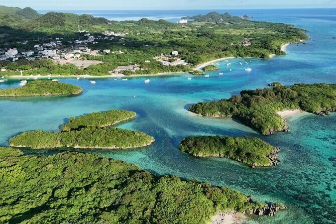 Ishigaki Island Shore Excursion, Trails and Scenic Spots - In Closing: Is This Tour Worth It?