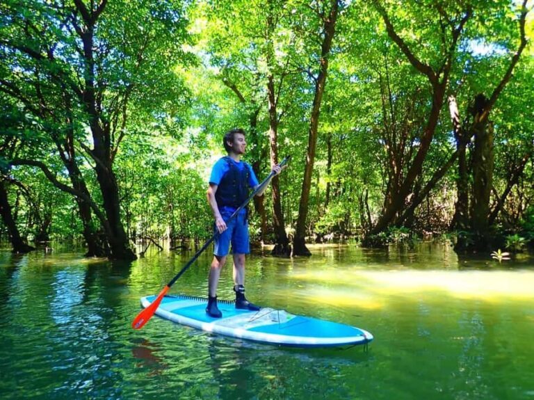 Ishigaki Island: SUP or Canoeing and Snorkeling at Blue Cave - What to Expect: A Step-by-Step Breakdown