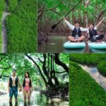 Ishigaki: Mangrove&Sunset Kayak/SUP with Drone & SLR footage - Exploring the Itinerary