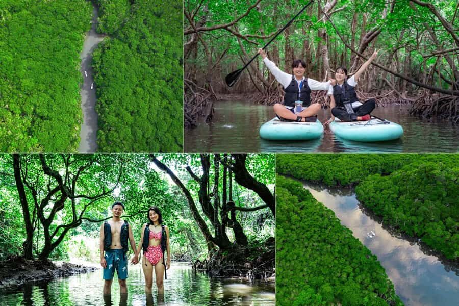 Ishigaki: Mangrove&Sunset Kayak/SUP with Drone & SLR footage - Exploring the Itinerary