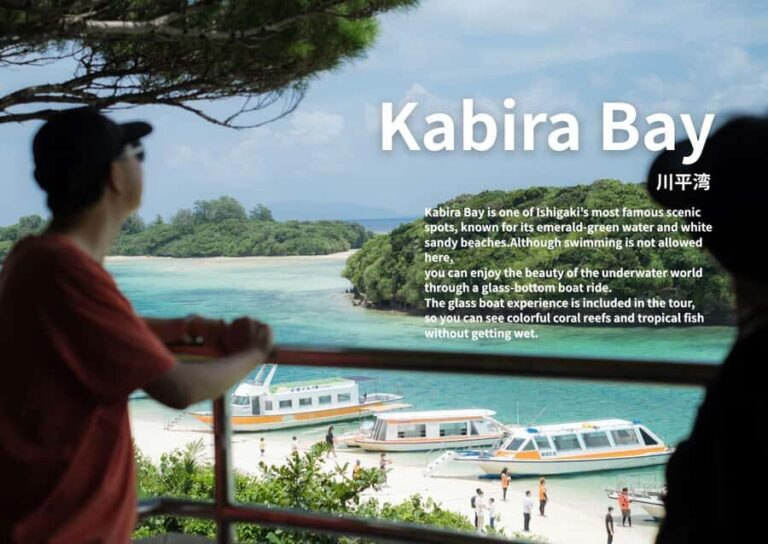 Ishigaki: Private Half-Day Tour with Photographer - Transportation and Comfort