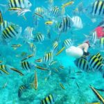 Isla Catalina All Inclusive Snorkel and Beach Day from Punta Cana - A Detailed Look at the Tour Experience