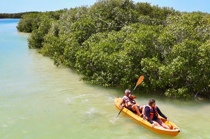 Isla Columpios and Progreso Day Trip - Transport and Timing: Why They Matter