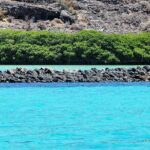 Isla Espiritu Santo and Balandra Tour - The Itinerary: What to Expect at Each Stop