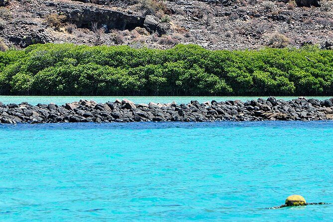 Isla Espiritu Santo and Balandra Tour - The Itinerary: What to Expect at Each Stop