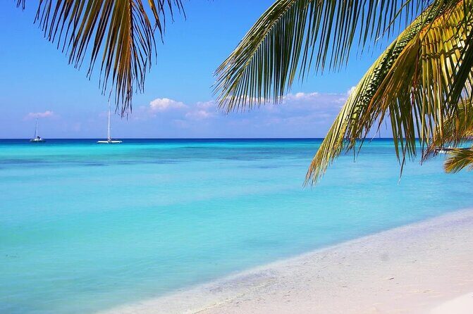 Isla Saona a tropical paradise and the best natural pool in Punta Cana - What Travelers Say