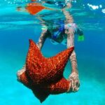 isla saona día completo - Authentic Experiences and Authentic Challenges