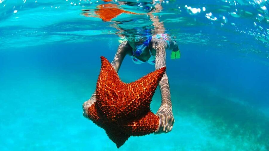 isla saona día completo - Authentic Experiences and Authentic Challenges