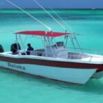 Isla Saona Private Catamaran Cruise (All Inclusive) - Exploring Isla Saona