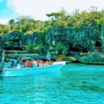 Isla Saona Speedboat Tour - Lunch, Wildlife & Natural Pools - What Travelers Say: Real Experiences and Impressions