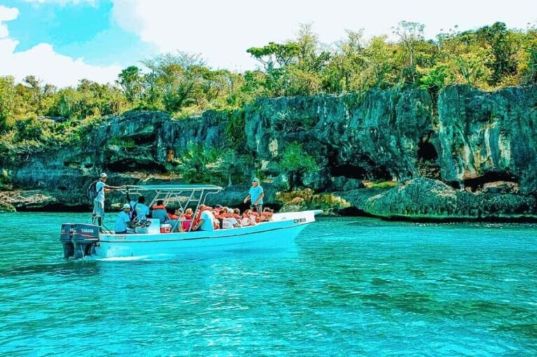 Isla Saona Speedboat Tour - Lunch, Wildlife & Natural Pools - What Travelers Say: Real Experiences and Impressions
