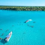 Isla Saona Wildlife Safari: Your All-Inclusive Escape - What’s the Real Value?