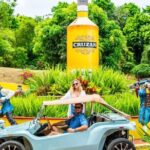 Island Buggy Excursions - The All-Inclusive Vehicle — No Surprises