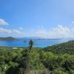 Island Eco Farm Tour with Local Treats and Sapphire Beach Time - An In-Depth Look at the Island Eco Farm Tour