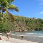 Island Escape: Discovering Grenada's Private Paradises - Who Will Love This Tour?