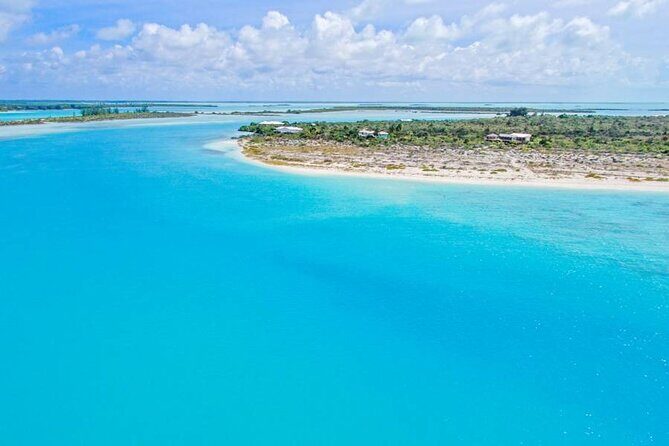 Island Hopper Adventure in Providenciales - What the Reviews Say