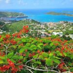 Island Life Jeep Tours - Your Day Your Way Private Excursion! - The Bottom Line: Who Will Love This Tour?