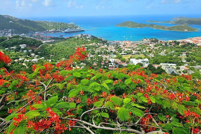 Island Life Jeep Tours - Your Day Your Way Private Excursion! - The Bottom Line: Who Will Love This Tour?