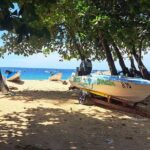 Island Tour (Food and Drinks include) - Cost and Value