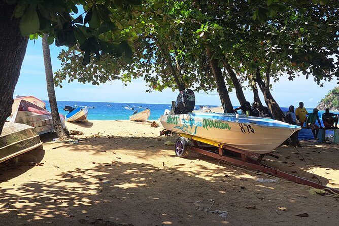 Island Tour (Food and Drinks include) - Cost and Value