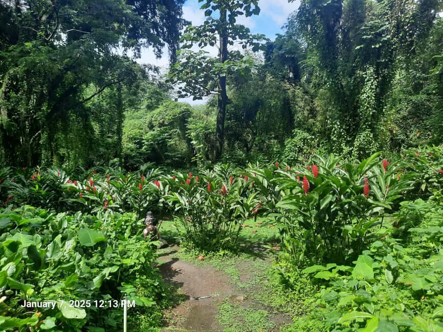 Island Tours: St. Vincent & the Grenadines - Dark View Falls - The Showstopper: Dark View Falls