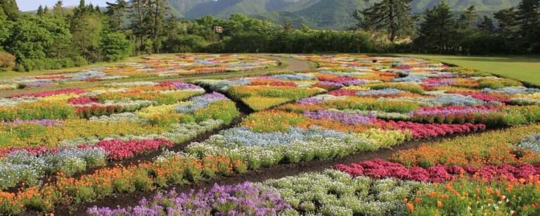 ita: Lantern-Lit Towns and Christmas Lights Tour - An Overview of What You Can Expect