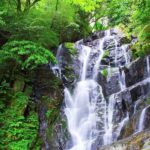 Itoshima Day Trip from Fukuoka - Why This Tour Works