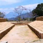 Ixtapa Zihuatanejo Archaeological Zone and Coconut Museum Tour - The Experience from a Traveler’s Perspective