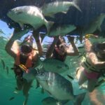 Ixtapa: Zipline and Snorkeling Adventure with Lunch - Breaking Down the Itinerary