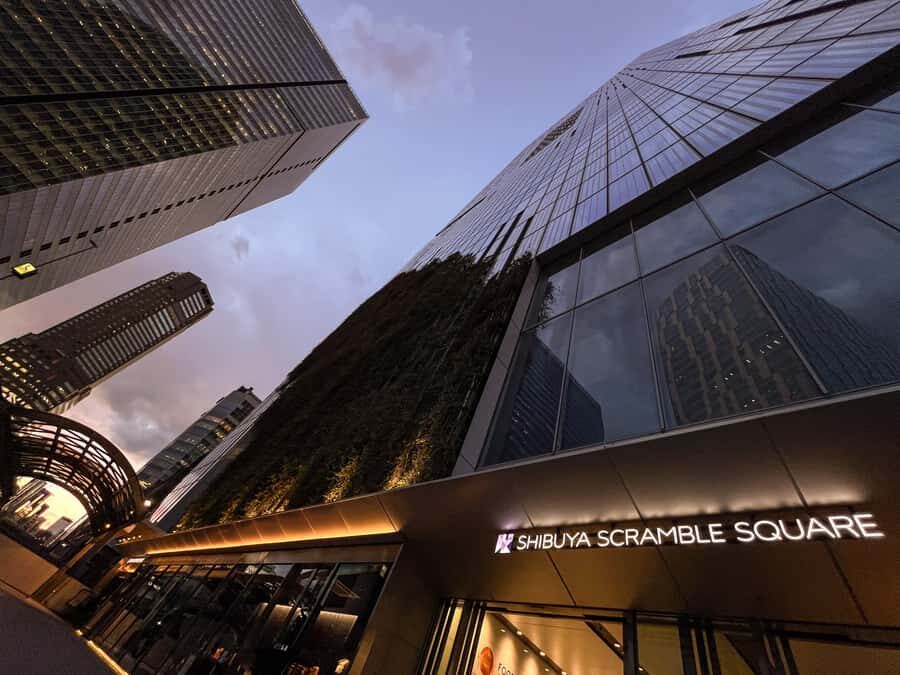 Izakaya & Traditional Dishes in Tokyo's Shibuya Walk 3 Hrs - Value and Practicalities