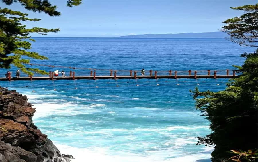 Izu: Ito Coast Grotesque & Doll Museum Day Trip From Tokyo - Transportation and Group Experience