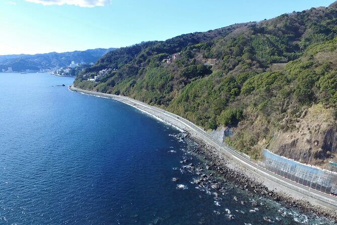 Izu Mount Omuro Day Tour: Atami Beach Line,Ropeway,Jogasaki Coast - Key Points to Consider Before Booking