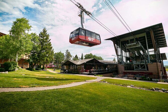 Jackson Hole Summer Aerial Tram Sightseeing - Authentic Visitor Perspectives