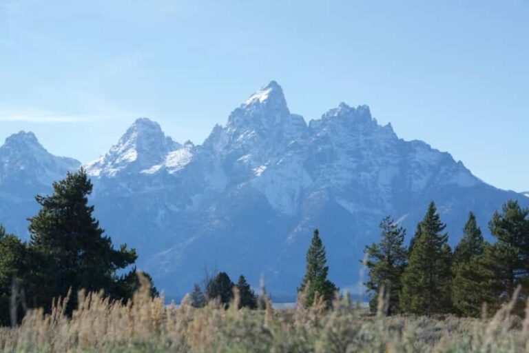 Jackson Hole: Teton Range ATV Tour with Picnic Lunch - The Experience Provider: Aramark Destinations